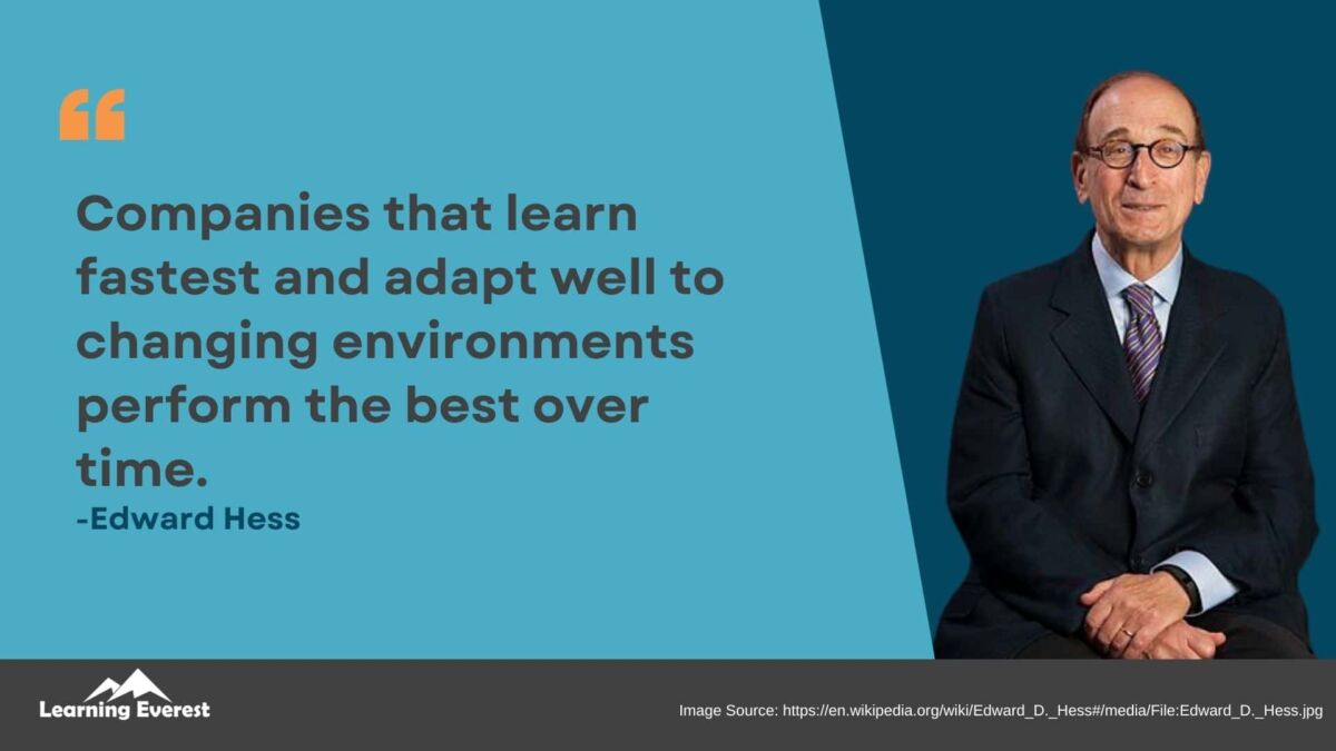 Creating Learning Culture in a Workplace – Learning Everest